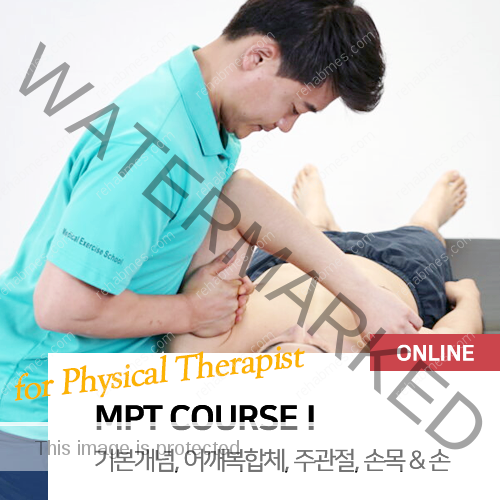 MPT Course I – ONLINE (Foundational Concept, Shoulder Complex, Elbow ...